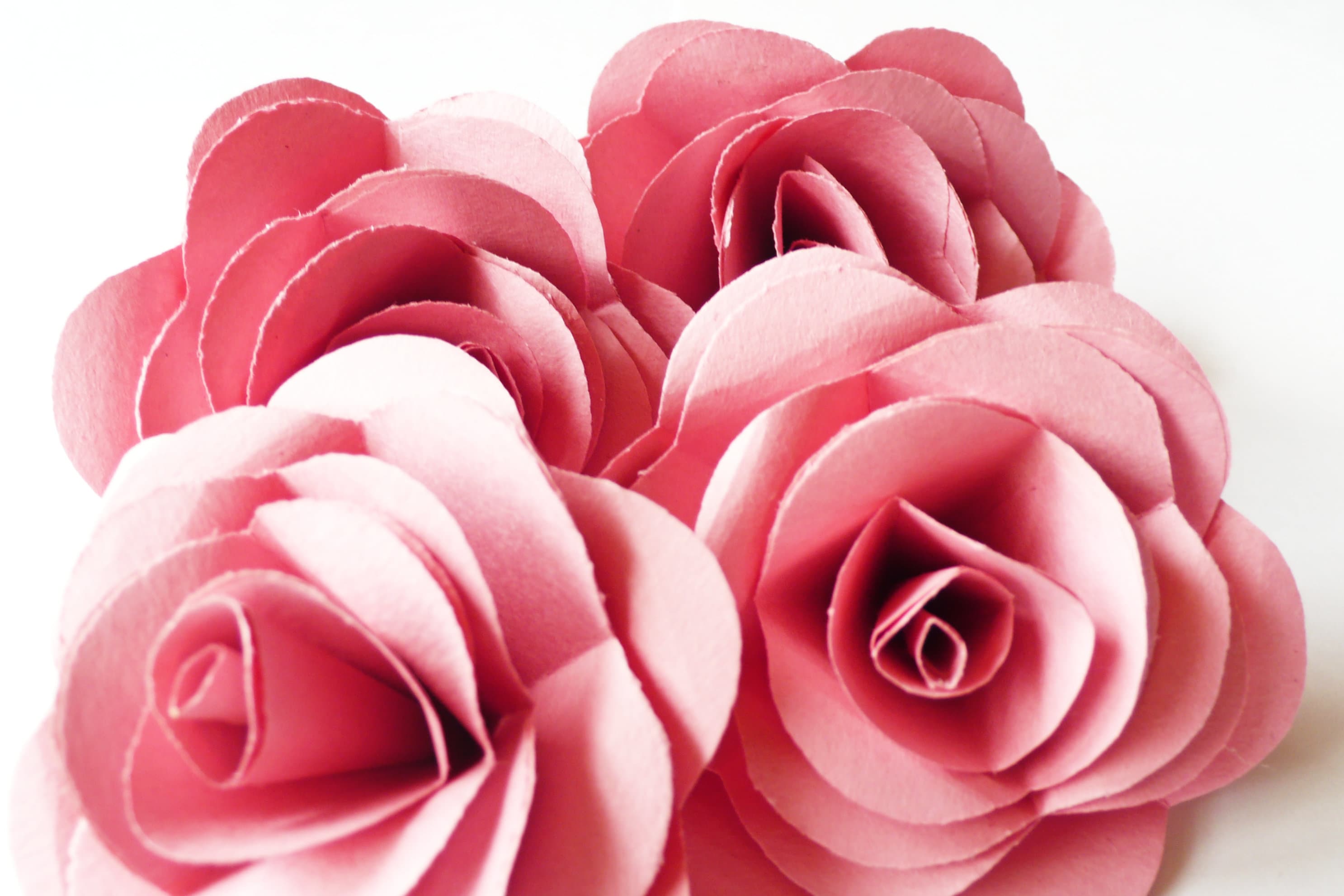 Rose de papier Fleurs de papier Rosettes pièce maîtresse | Etsy