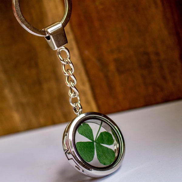 Four Leaf Clover - Etsy