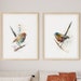 Watercolor Wren Prints Set, Bird Art Paintings, Wren Wall Art, Set of 2 ...