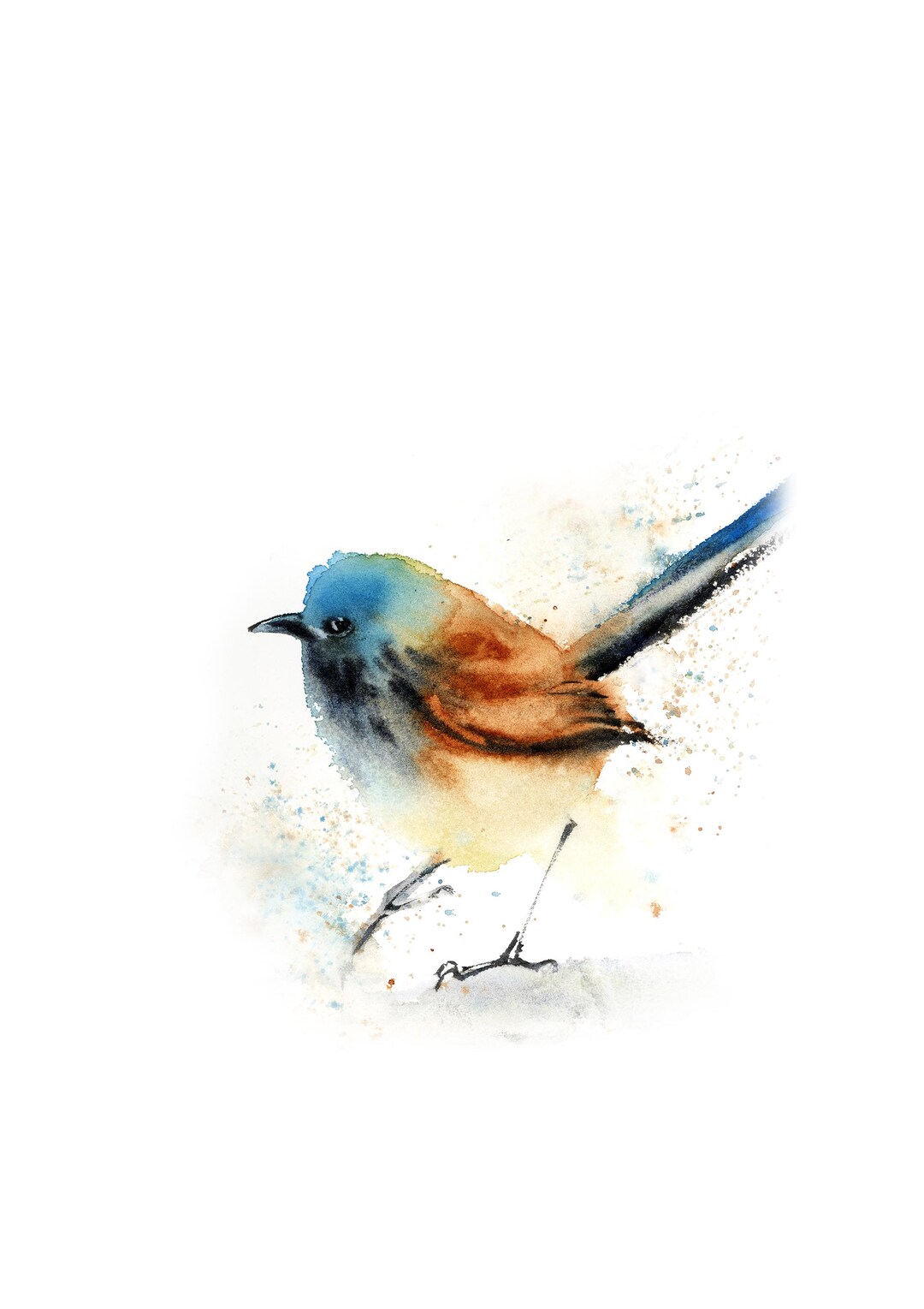 Colorful Wren Fine Art Print, Bird Watercolor Painting, Wren Wall Print ...
