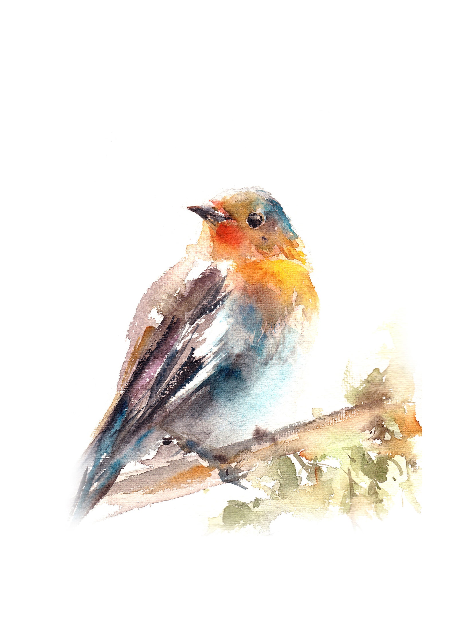 Birds Gallery Wall Set of 4 Art Prints Colorful Birds Wall - Etsy