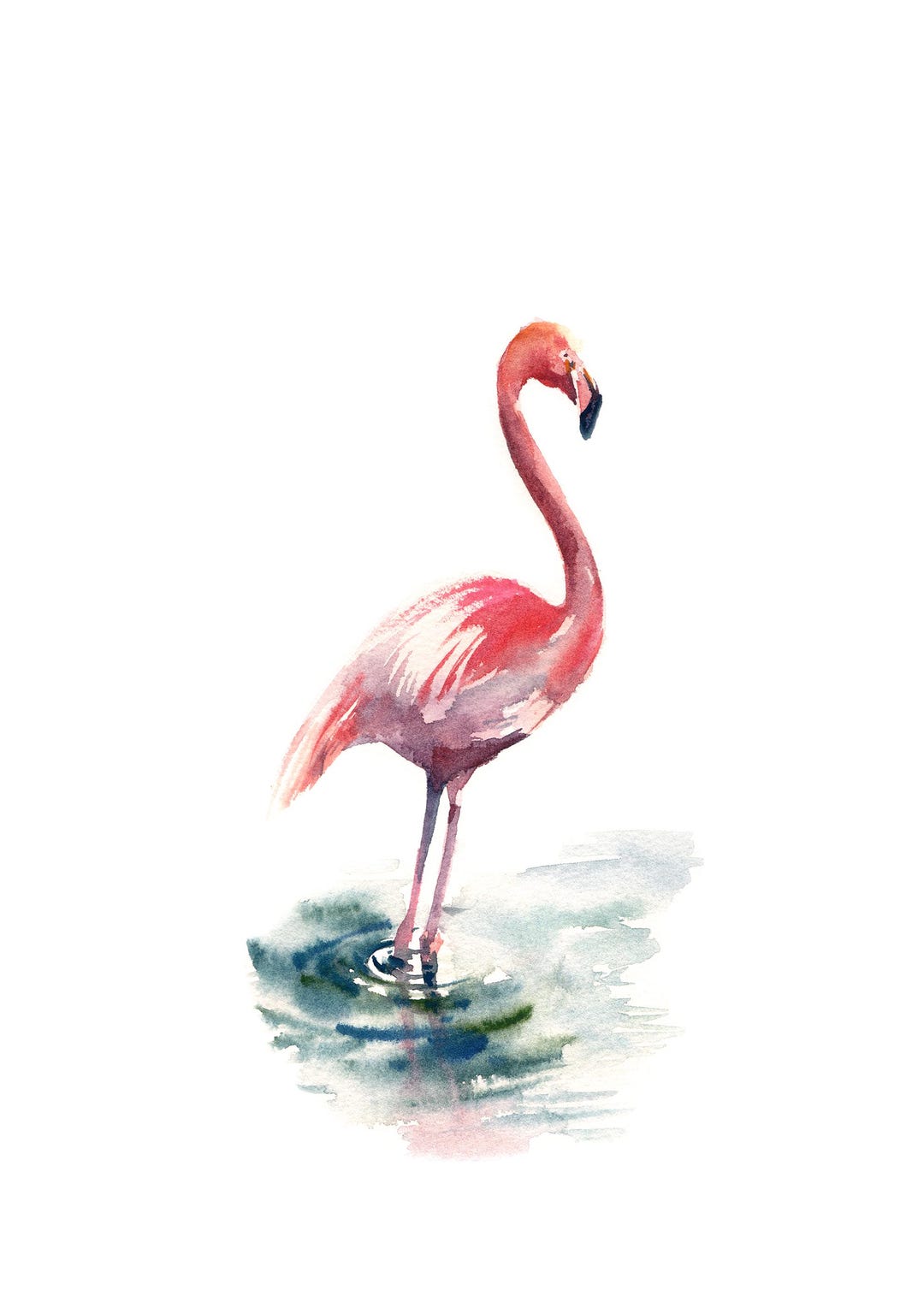 Pink Flamingo Fine Art Print Wall Decor, Bird Watercolor Painting by ...