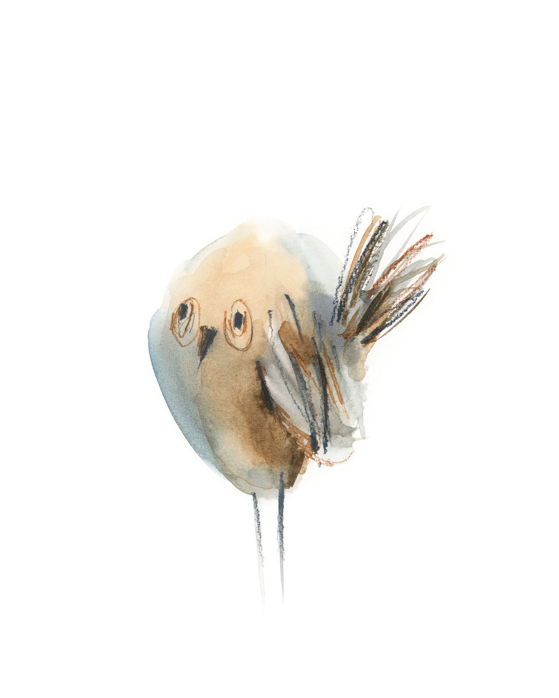 Funny Birds 4 Art Prints Set Birds Gallery Wall Set of 4 Fine - Etsy