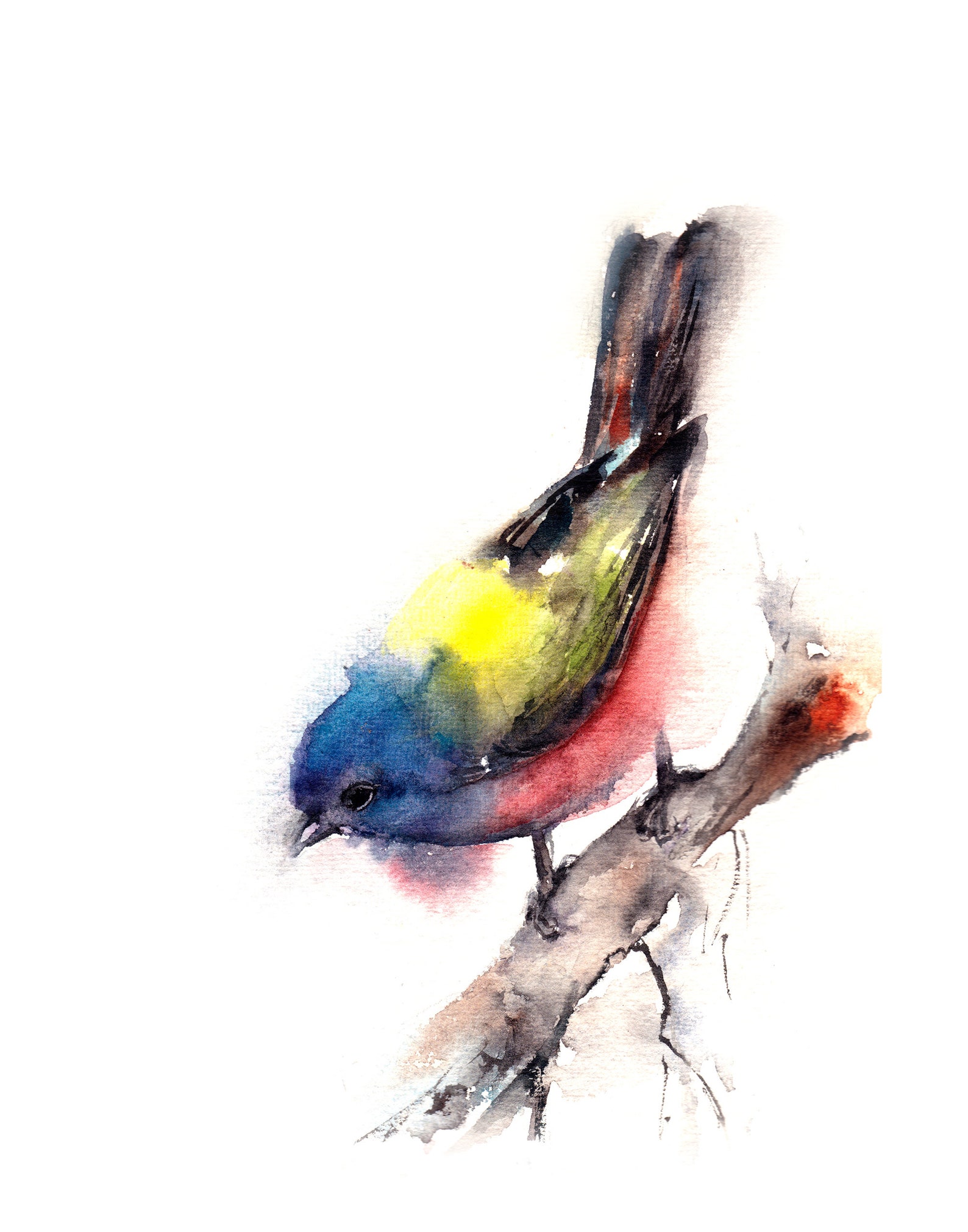 Birds Gallery Wall Set of 4 Art Prints Colorful Birds Wall - Etsy