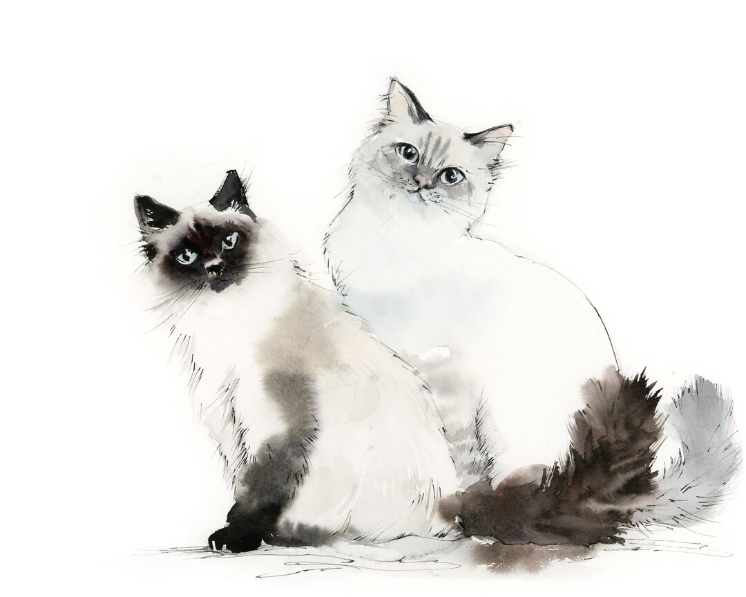 Birman Cat Painting, Two Cats Art Print, Cat Watercolor Print, Cat ...