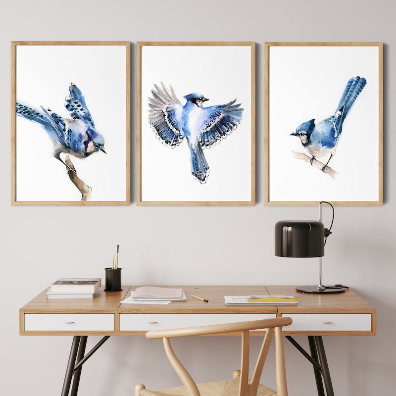 Blue Jay Print - Etsy