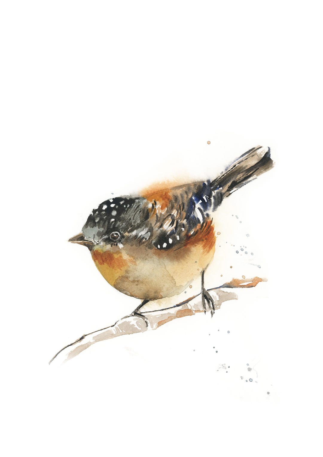 Finch Bird Art Print, Bird Watercolor Print, Earthy Colors Bird ...