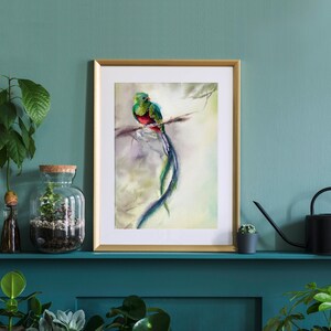 Quetzal Print Quetzal Art Painting Bird Art Print - Etsy