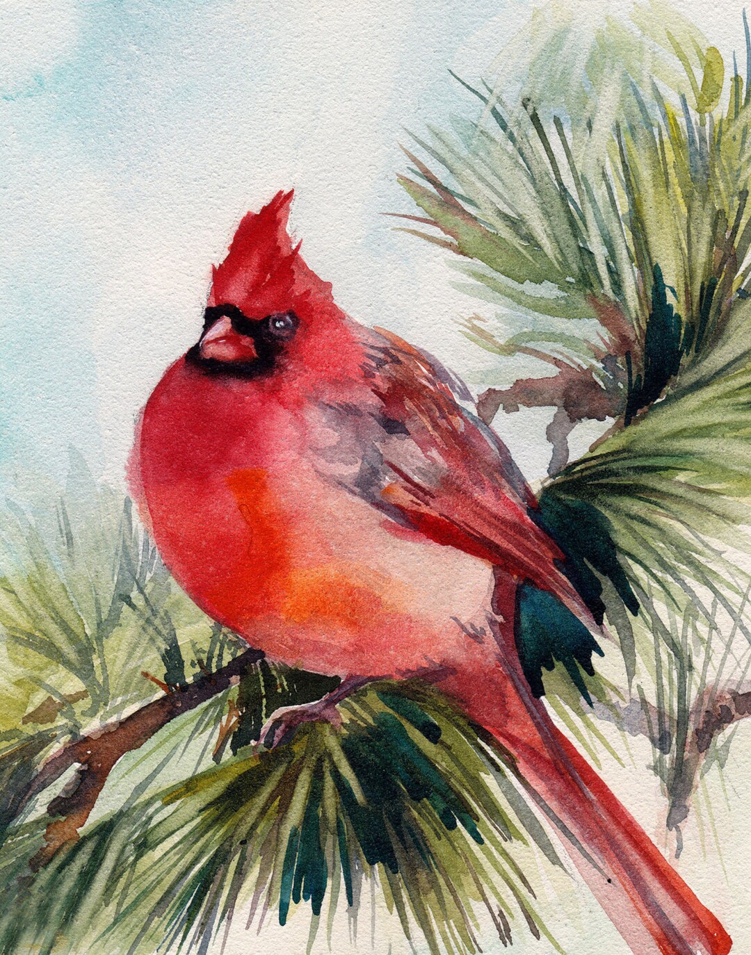 Northern Cardinal Art, Bird Watercolor Painting, Bird Art, Wild Life ...