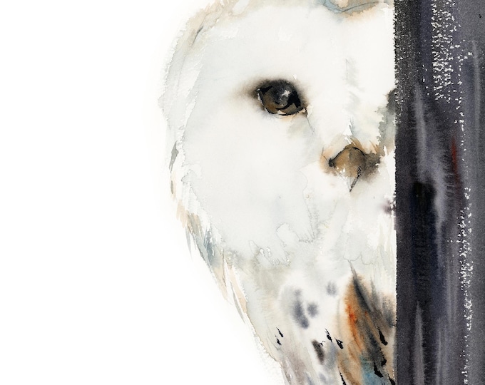 Barn Owl Print, Owl Prints, Animal Art, Bird Painting, Animals ...