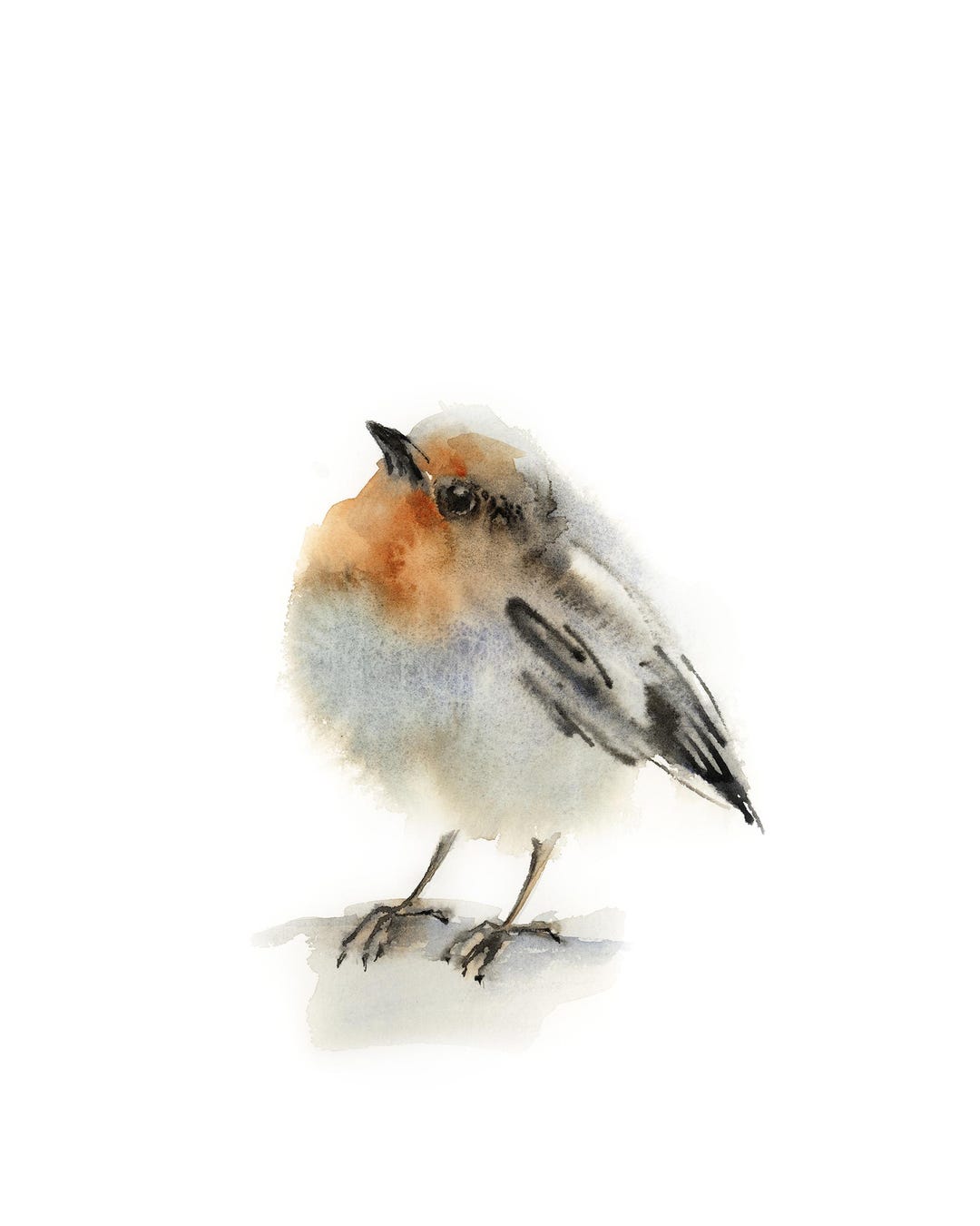 Robin Bird Fine Art Print, Minimalist Bird, Watercolor Painting, Bird ...