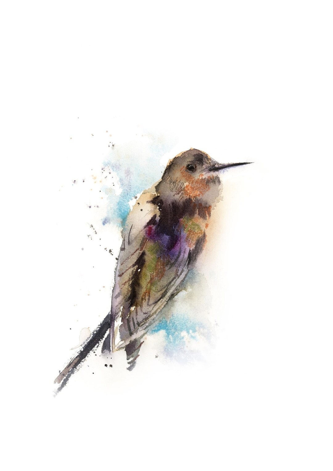 Hummingbird Fine Art Print, Bird Illustration, Watercolor Print, Bird ...