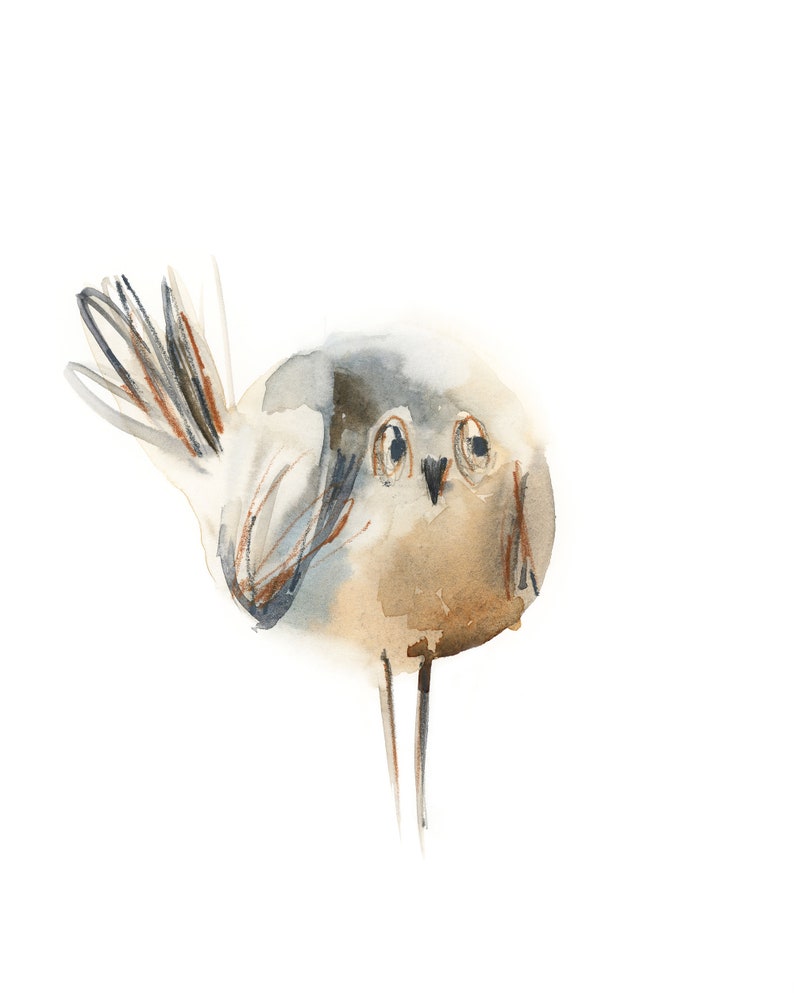 Funny Birds 4 Art Prints Set Birds Gallery Wall Set of 4 Fine - Etsy