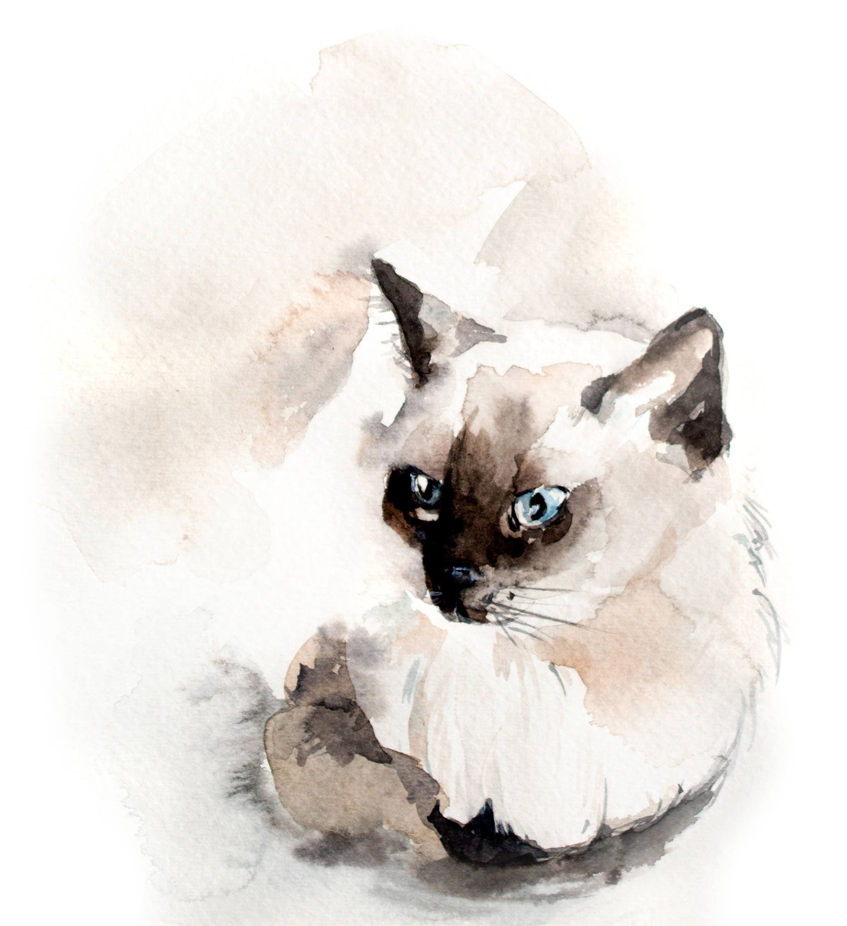 Siamese Cat Painting Art Print Minimalist Siamese Cat | Etsy