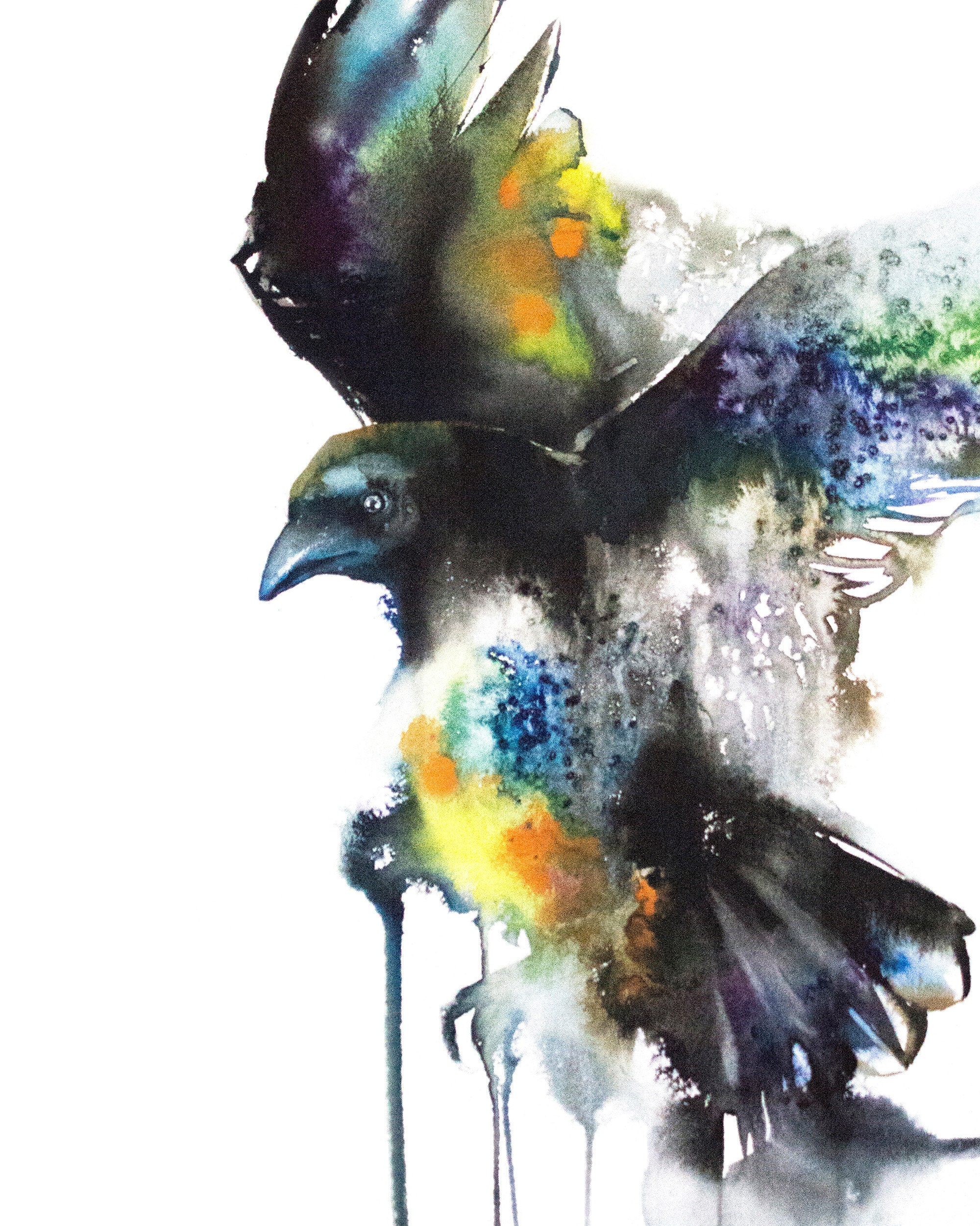 Flying Raven Painting Art Print Raven Flowing Watercolor | Etsy