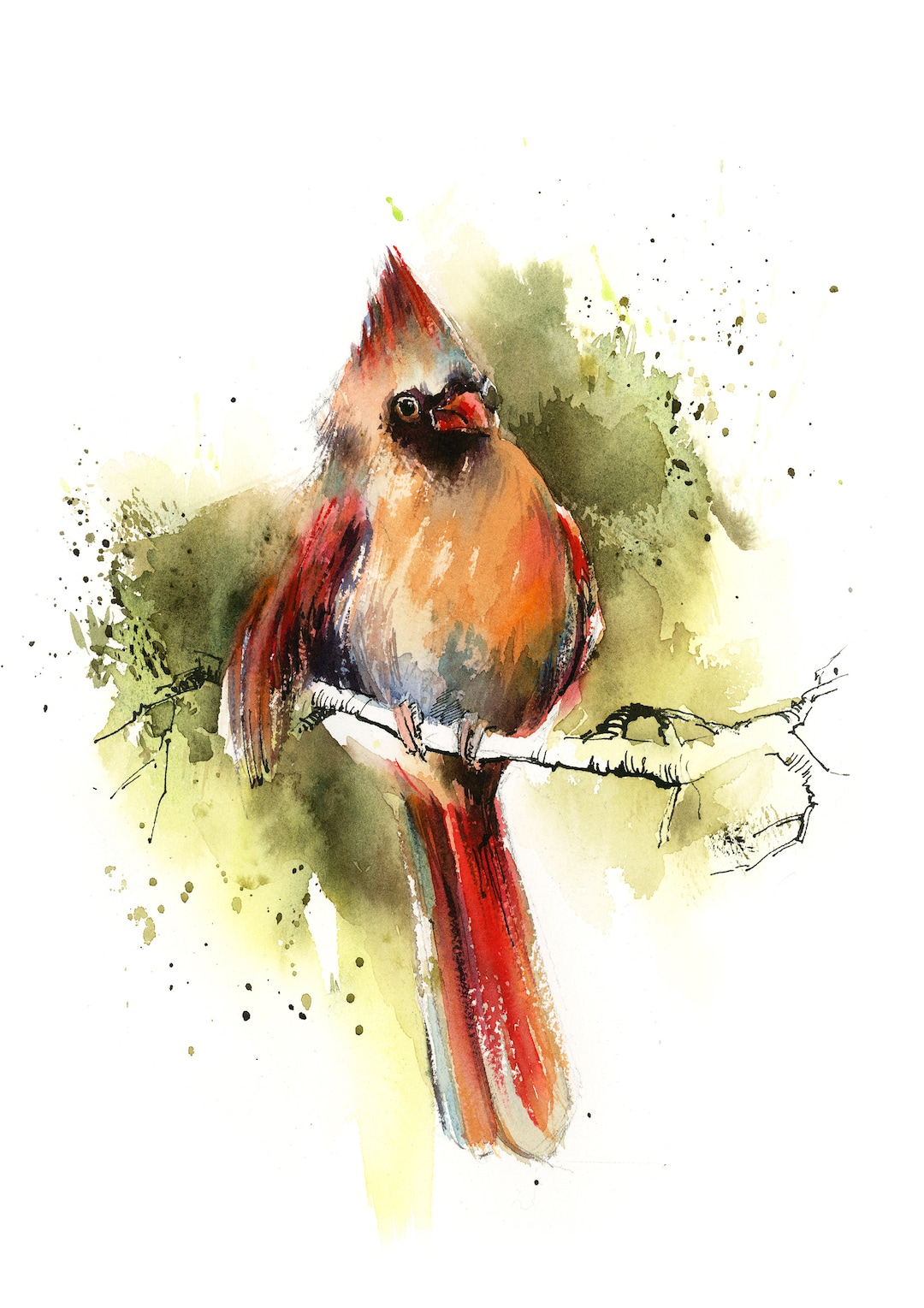 Cardinal Bird Painting, Northern Female Cardinal, Watercolor Print ...