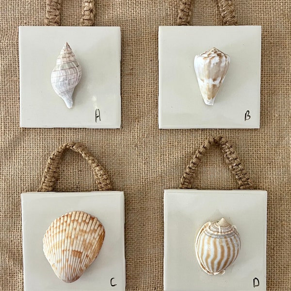 Sea Shell Wall Hanging - Etsy