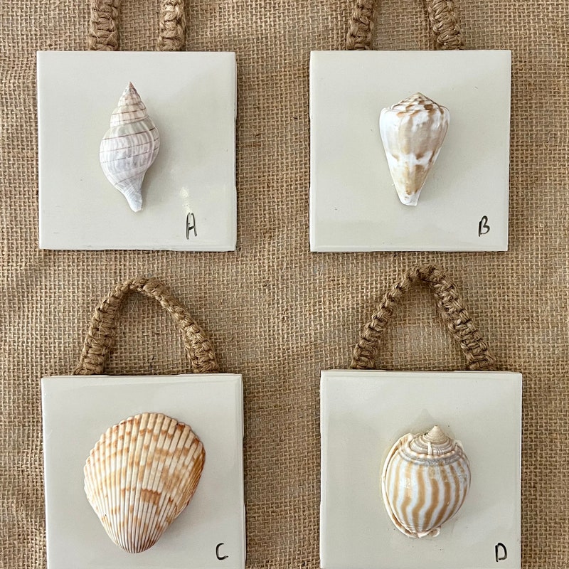 Sea Shell Wall Hanging - Etsy