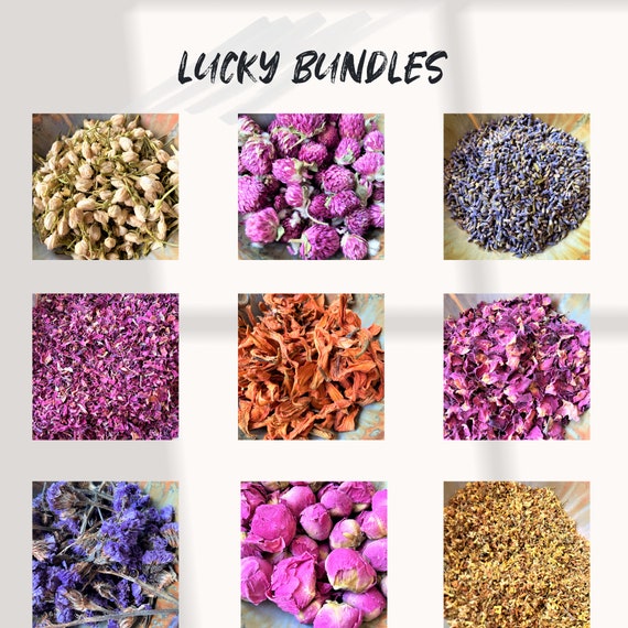 Lucky Bundles great Value and Affordable Price //dried - Etsy Australia