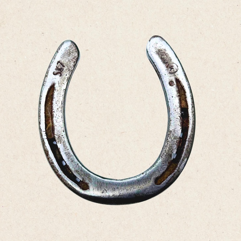 Horseshoe Art Sculpture - Etsy