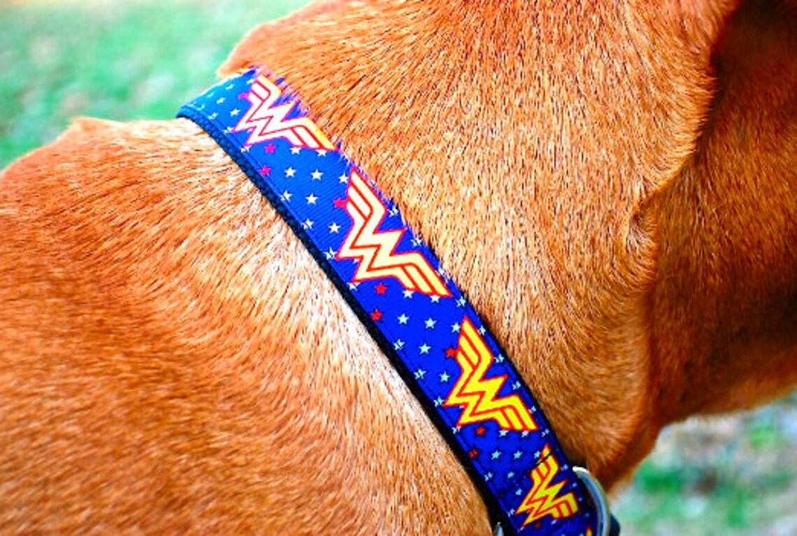 Wonder Woman Dog Collar Super Hero Dog Collar DC Hero Dog | Etsy