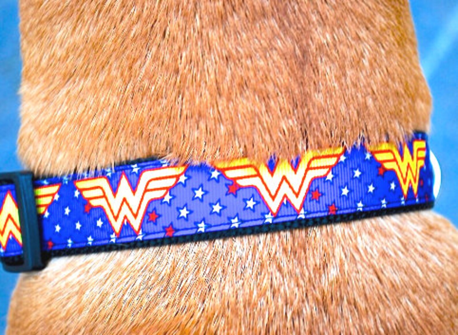 Wonder Woman Dog Collar Super Hero Dog Collar DC Hero Dog | Etsy