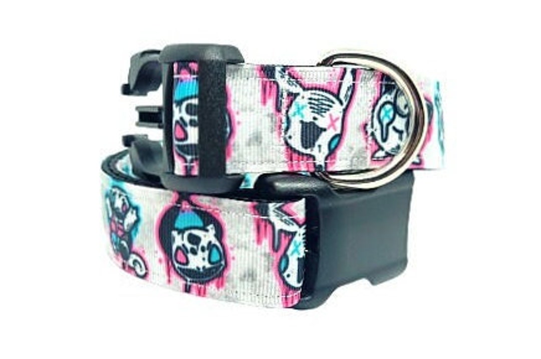 Gen 1 Pokemon Dog Collar, Pikachu, Clefairy, Bulbasaur, Oddish, Cartoon ...