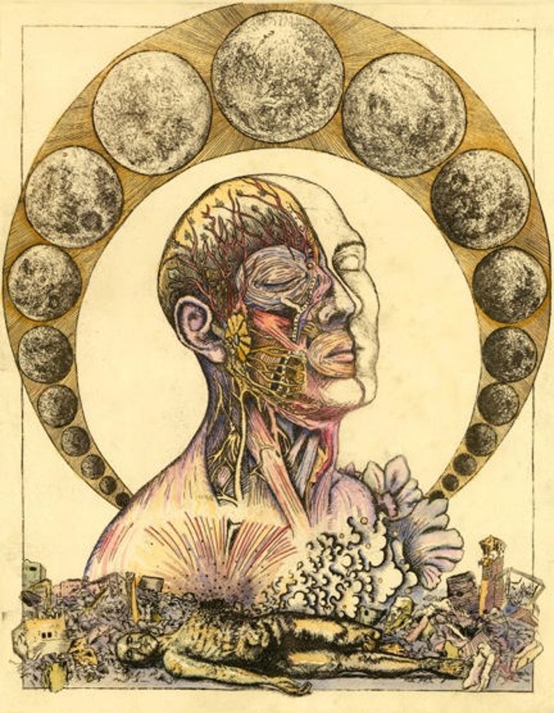 Cycles of Our Evolution - Etsy