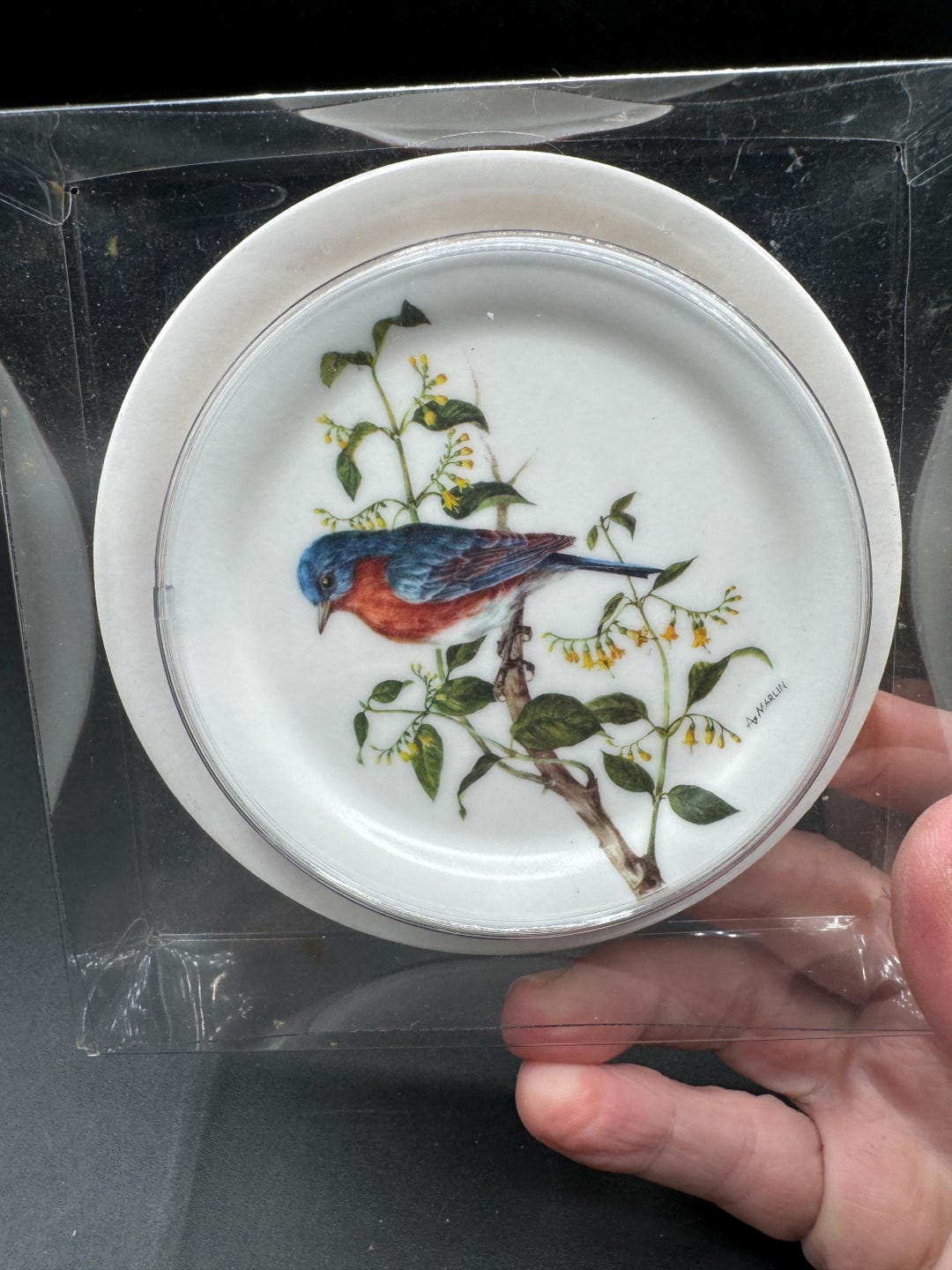 Set of 7 Vtg PLATEX Swiss Made Coasters BIRD PRINTS Small Plates Signed ...