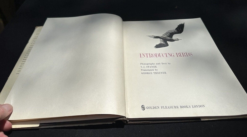 Introducing Birds Stanek V. J. Translated by George Theiner 1963 Great ...