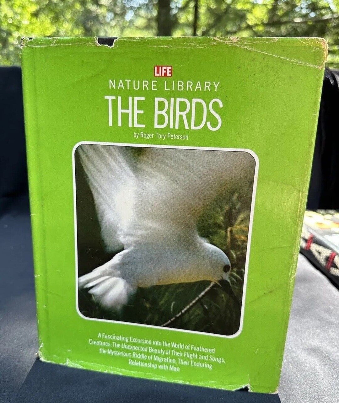 Life Nature Library Book the Birds by Roger Tory Peterson 1968 Amazing ...