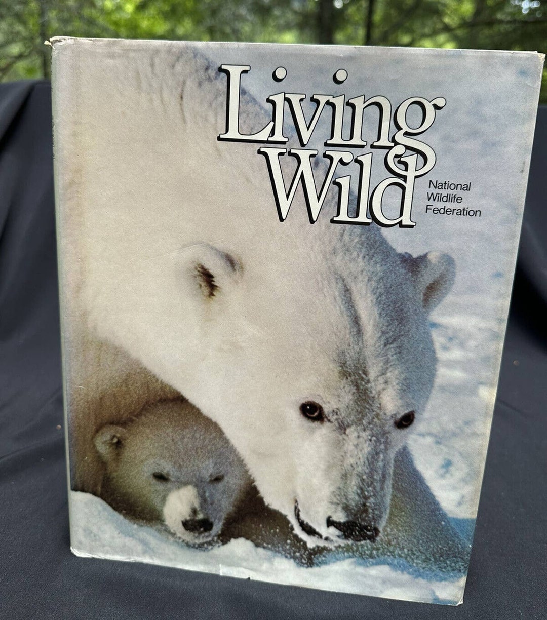 Living Wild the Secrets of Animal Survival 1980 National Wildlife Fed ...