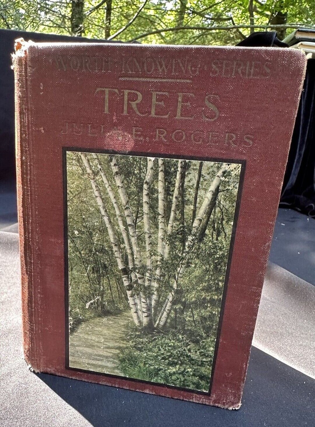 1917 TREES WORTH KNOWING Julia Rogers Little Nature Library Hardcover ...