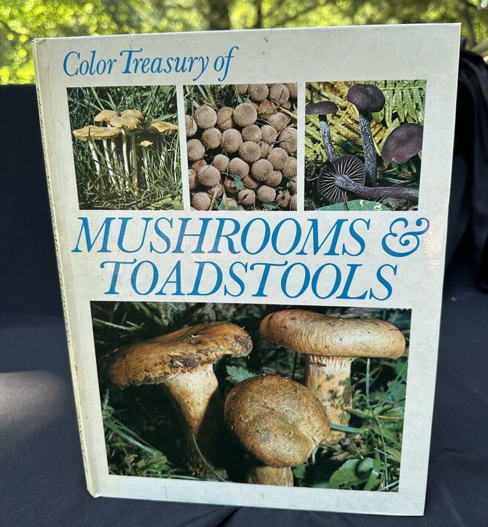 Color Treasury of Mushrooms & Toadstools How to Identify Them 1973 ...