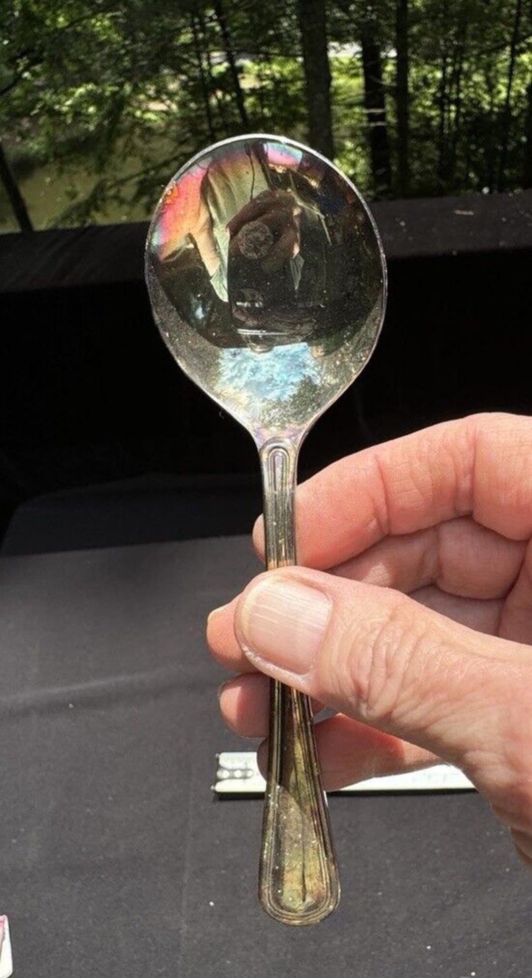 Vintage 1950’s Delta Airlines Soup Spoon Silver Plate 5.5” World -C4 - Etsy