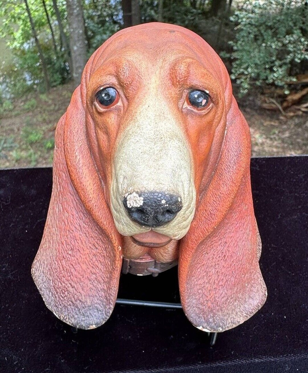 Bossons Chalkware Head Figurine 1968 Bassett Hound Congleton England ...