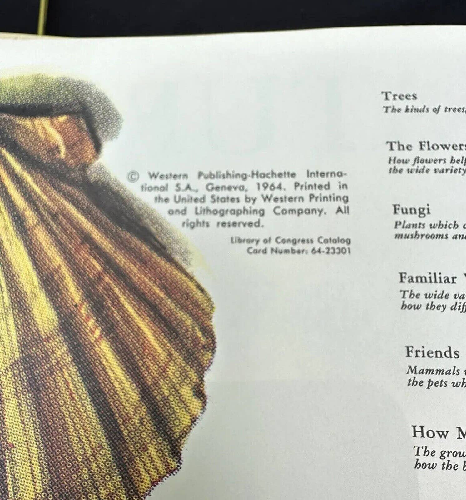 1964 Nature an Introduction to Our World- Mary Refoy Whitman World ...