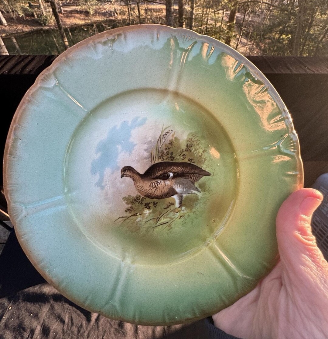 Vintage Lovely BONN FRANZANT MEHLEM Bird Pheasant Plate -C27 - Etsy