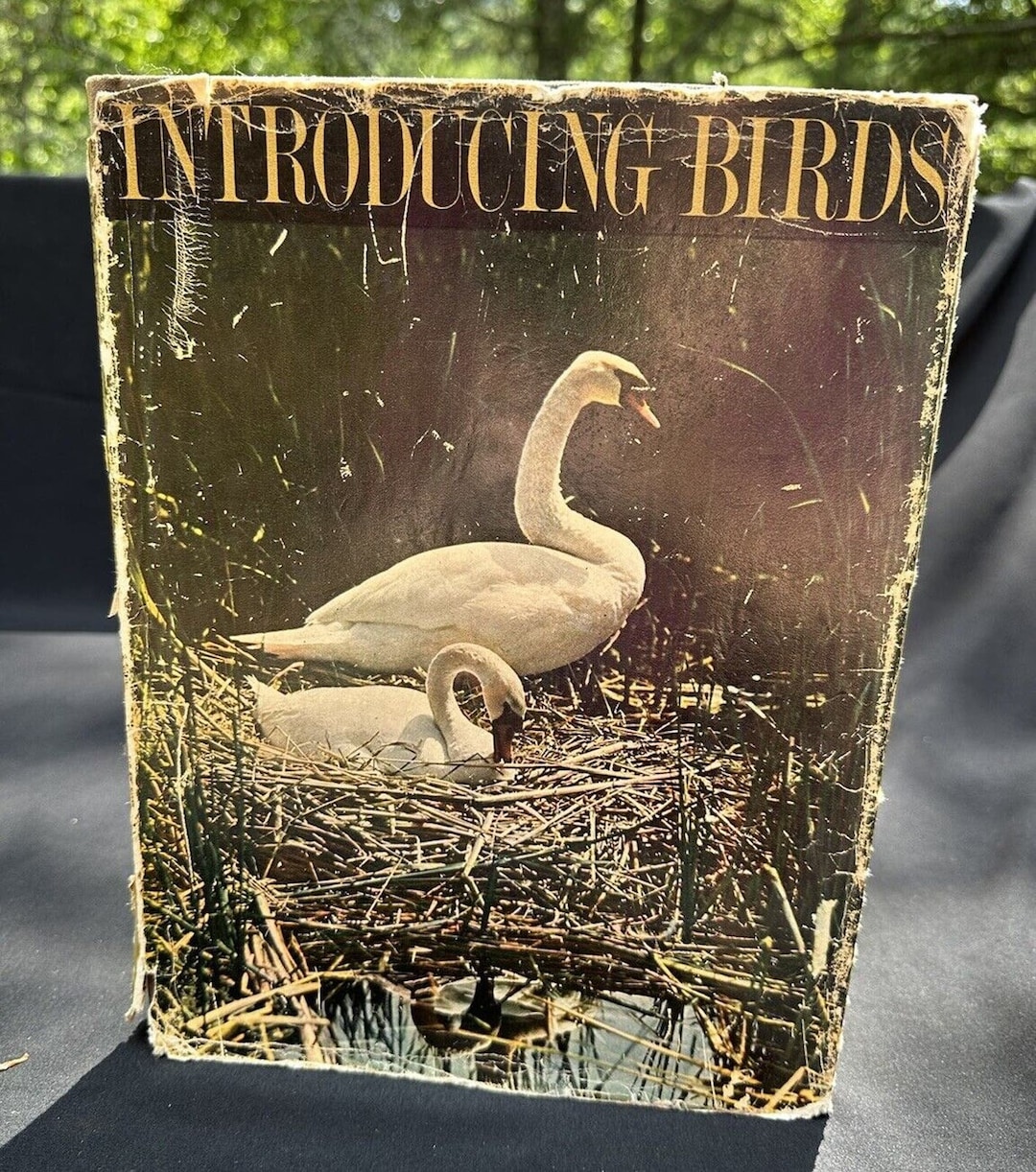 Introducing Birds Stanek V. J. Translated by George Theiner 1963 Great ...