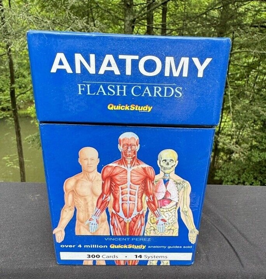 Anatomy Flash Cards Quickstudy 300 Cards 14 Systems With Box ...