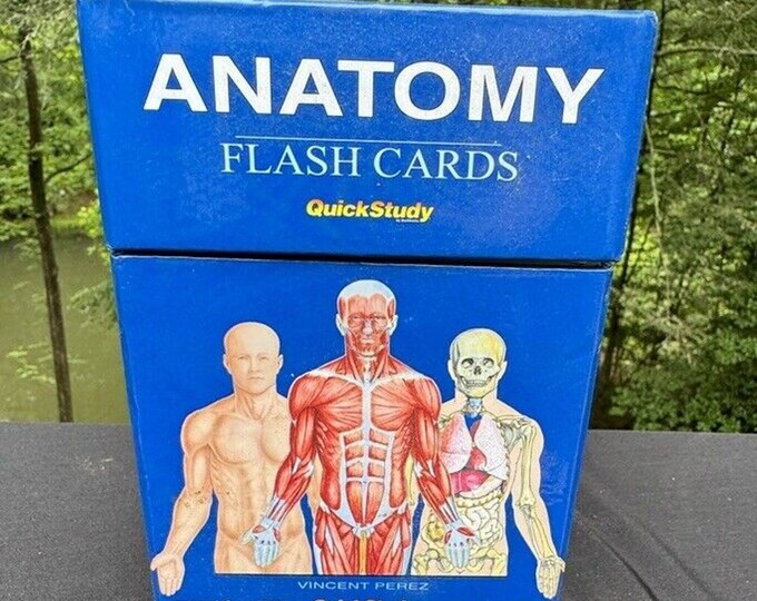 Anatomy Flash Cards Quickstudy 300 Cards 14 Systems With Box ...