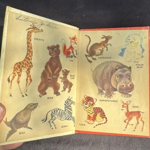 My First Zoo Book by Andy Cobb Rand Mcnally Junior Elf Hardcover ...