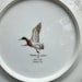 Vintage Thomas B Swain & Son Ducks in Flight 8” Plate Colorado ...