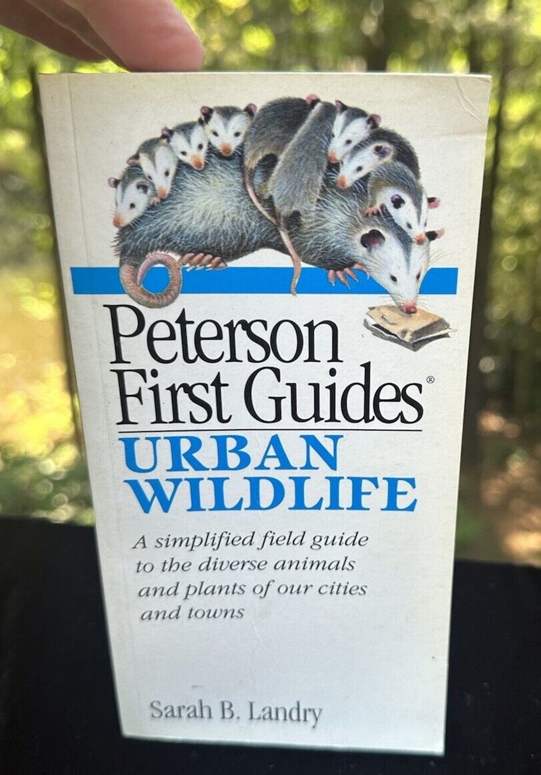 Peterson First Guide to Urban Wildlife Peterson First Guides Excellent ...