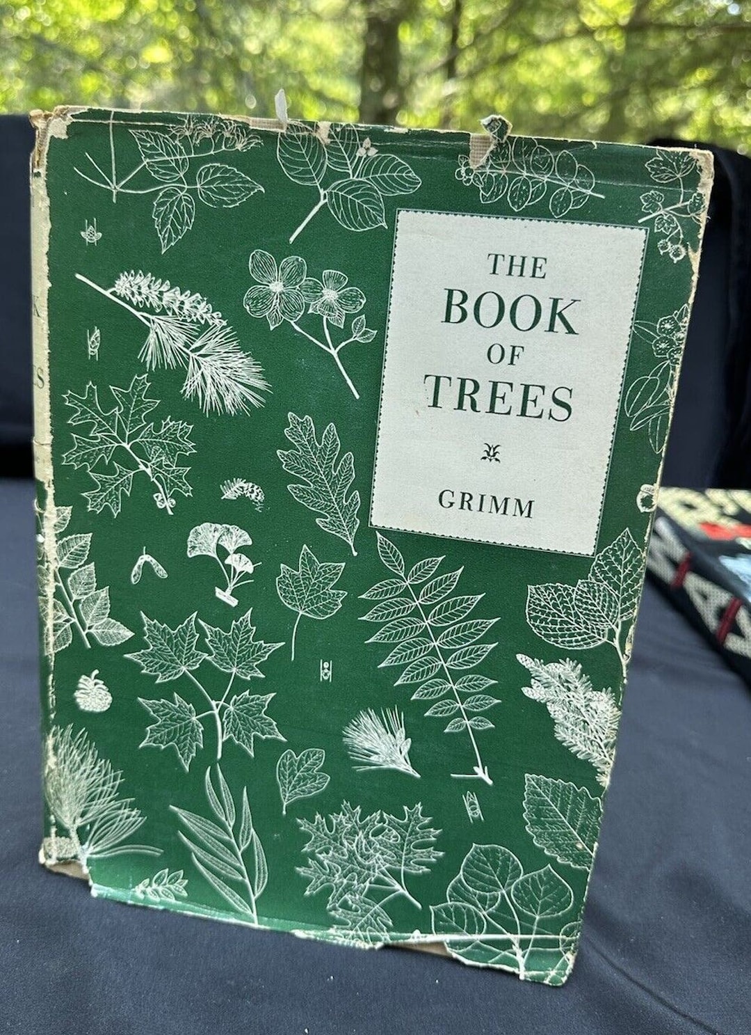 The Book of Shrubs by William C Grimm Hardcover Book 1957 Dust Jacket ...