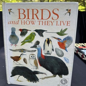 BIRDS AND HOW They Live by David Burnie 1992 First American Ed ...