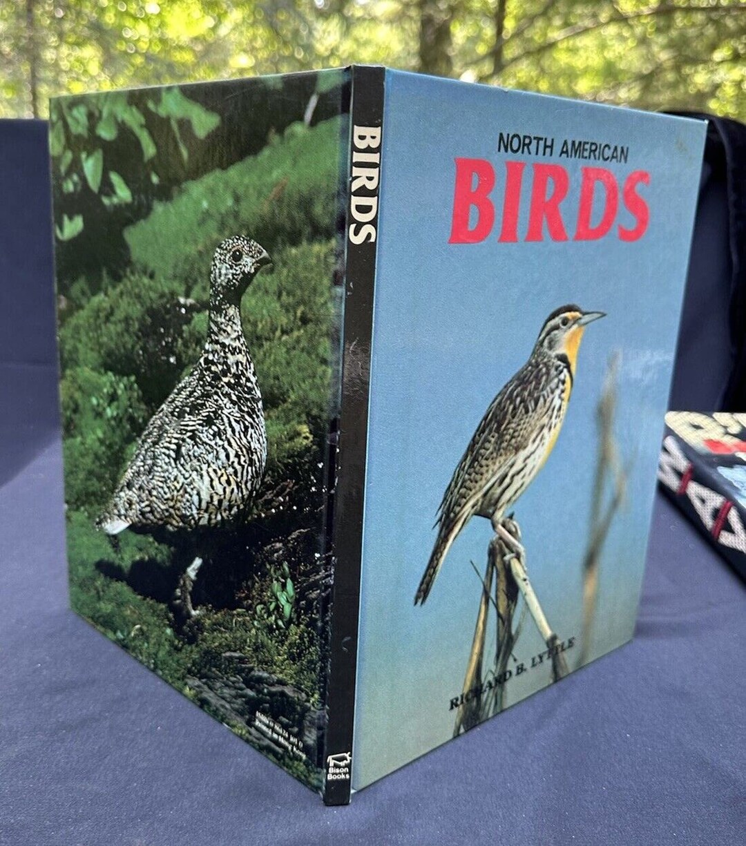 NORTH AMERICAN BIRDS. Lyttle, Richard B. Beautiful Photos! 1983 ...