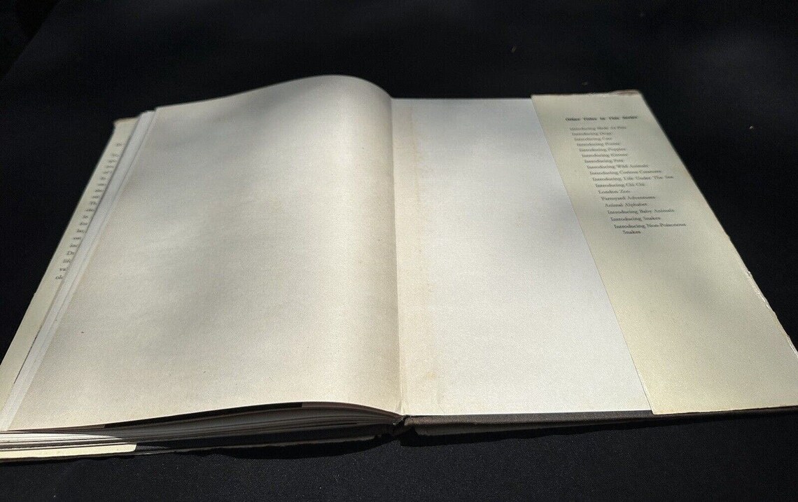 Introducing Birds Stanek V. J. Translated by George Theiner 1963 Great ...