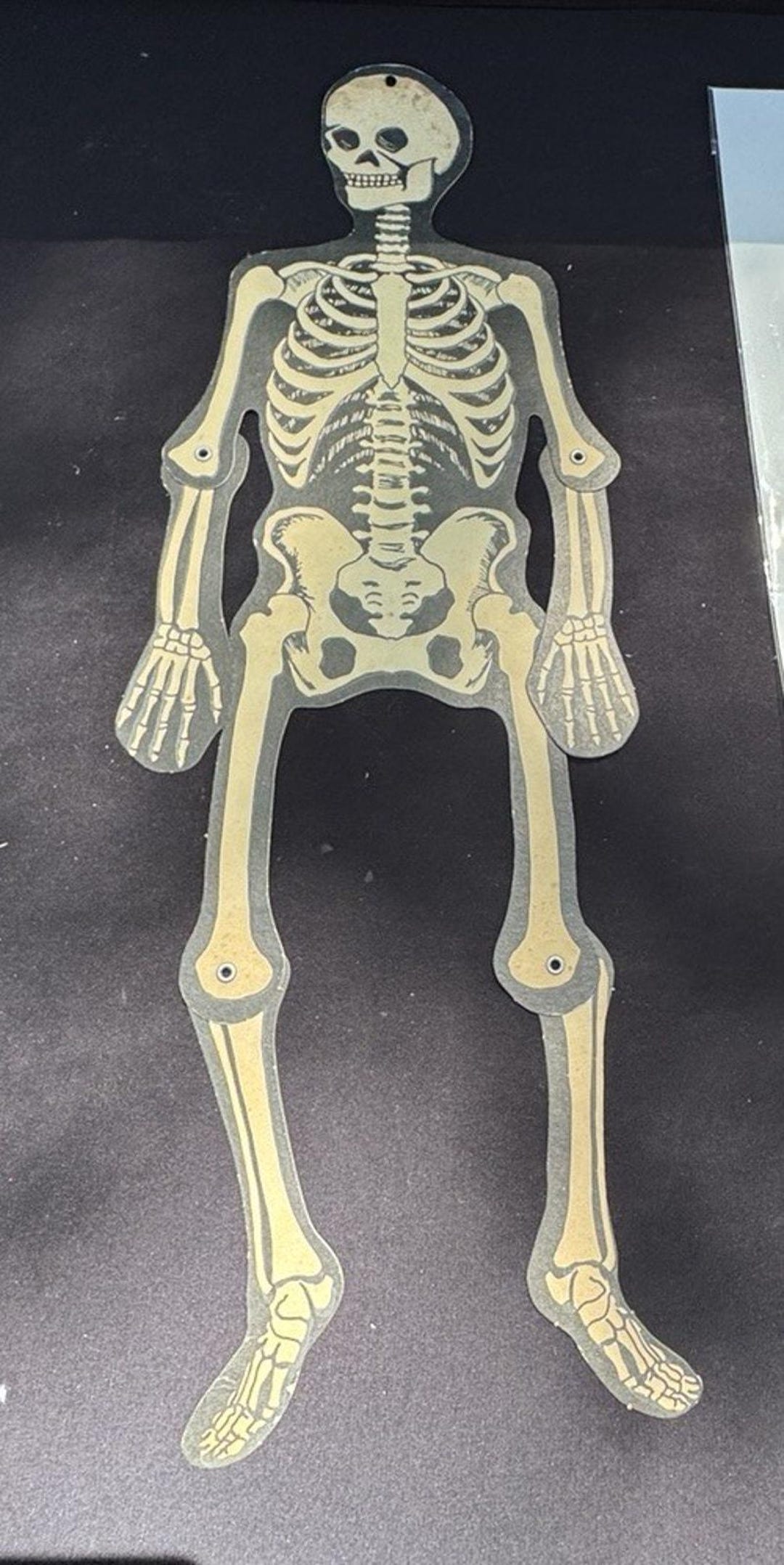 Vintage Beistle MCM Jointed Dancing Skeleton Halloween Die-cut 23” Tall ...