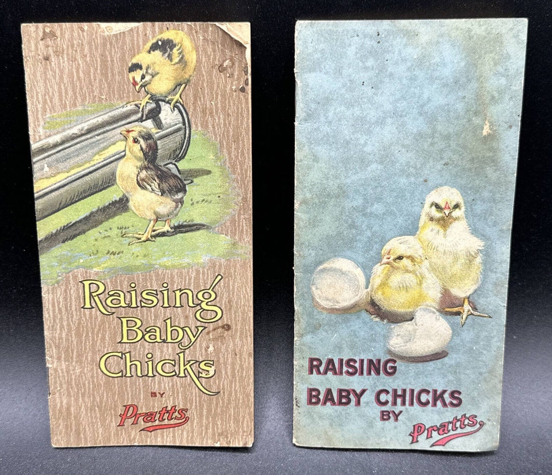 2 1920s Pratt Chicken Feed Baby Chick Chicks Art Vintage Print Ad ...